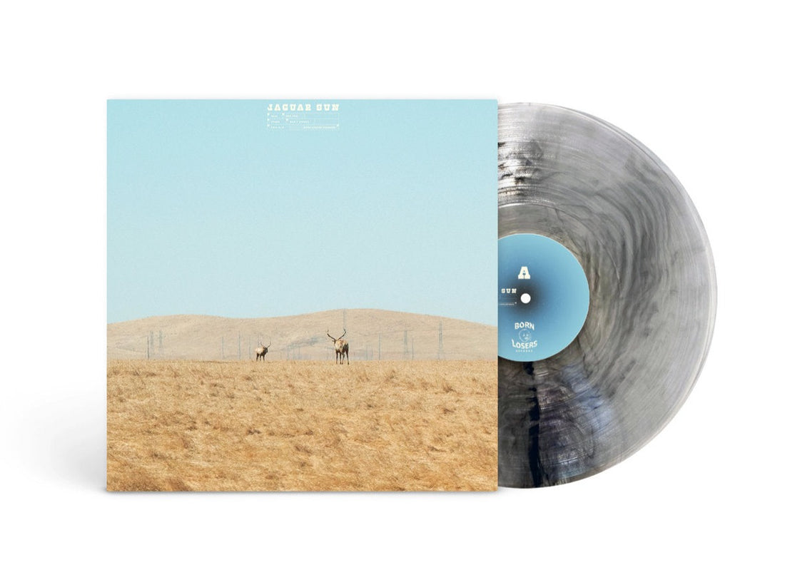 Shop our vinyl records Vinyl | Vinyl Moon – VINYL MOON
